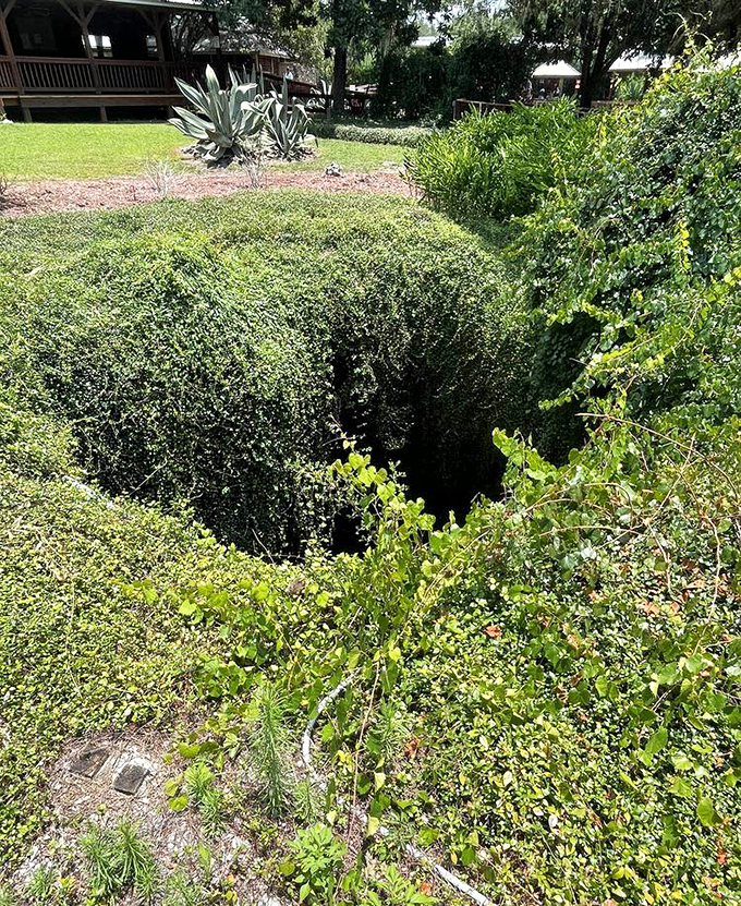 From above, the den looks deceptively modest&mdash;just a hole in the ground. It's Florida's version of "don't judge a book by its cover."