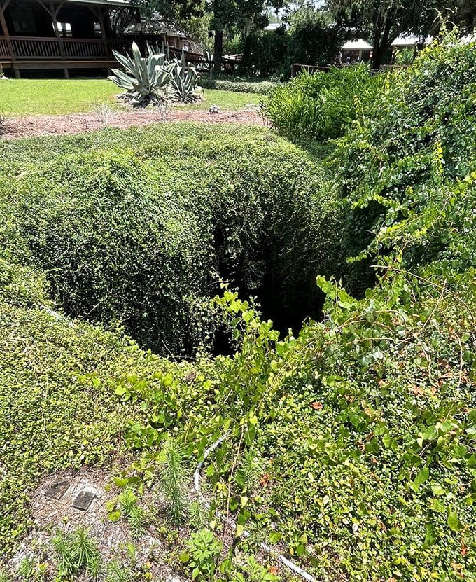 From above, the den looks deceptively modest&mdash;just a hole in the ground. It's Florida's version of "don't judge a book by its cover."