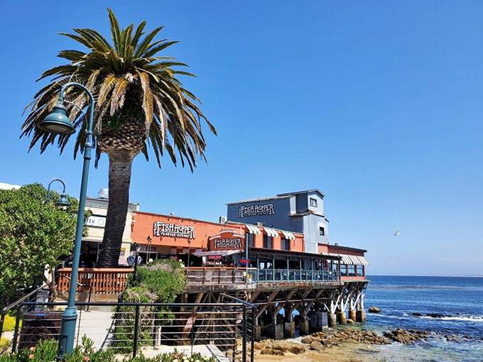 California coastal dining distilled to its essence: palm trees, blue water, and a restaurant that seems to float between sea and sky.