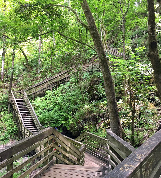 The stairway creates a wooden labyrinth through the sinkhole – part workout, part time machine to prehistoric Florida.