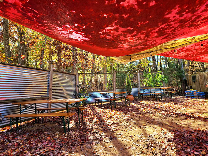 Autumn leaves carpet the outdoor seating area like Mother Nature's welcome mat. Even the trees want to be near this barbecue - they're not falling, they're diving closer.