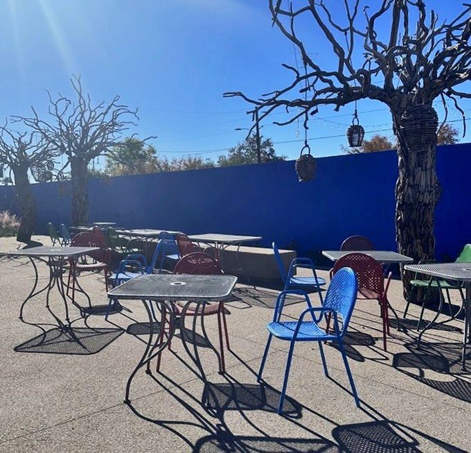 The outdoor patio with its sculptural trees and vibrant blue wall offers a perfect Arizona dining experience. Even the chairs are color-coordinated with your vacation mood.