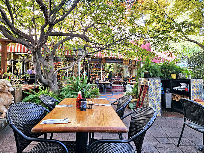 Dappled sunlight filters through mature trees in Tower Caf&eacute;'s outdoor dining area, where breakfast under branches feels like a mini-vacation.