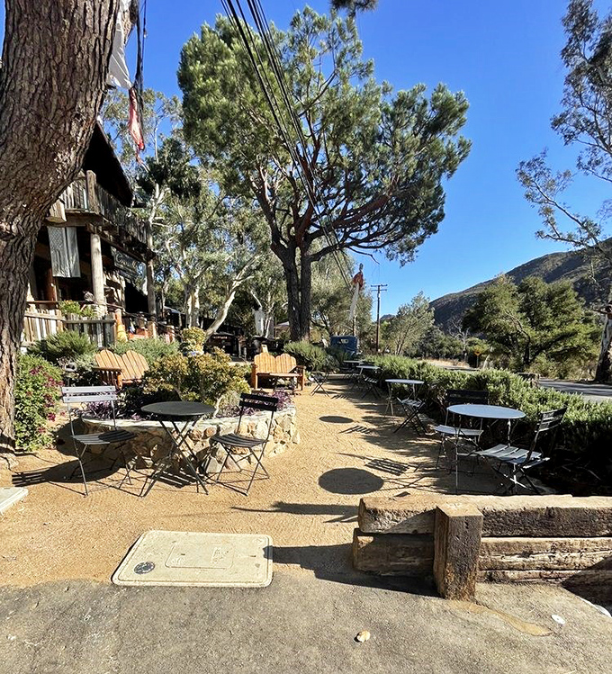 Outdoor tables bathed in dappled sunlight filtering through towering pines &ndash; the perfect setting for savoring both your meal and the mountain scenery.