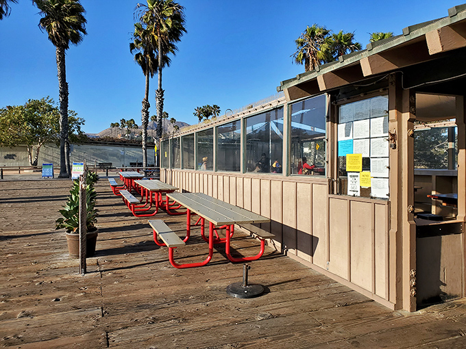 Red picnic tables that have witnessed countless first bites, food epiphanies, and the inevitable "we should move to Ventura" conversations.