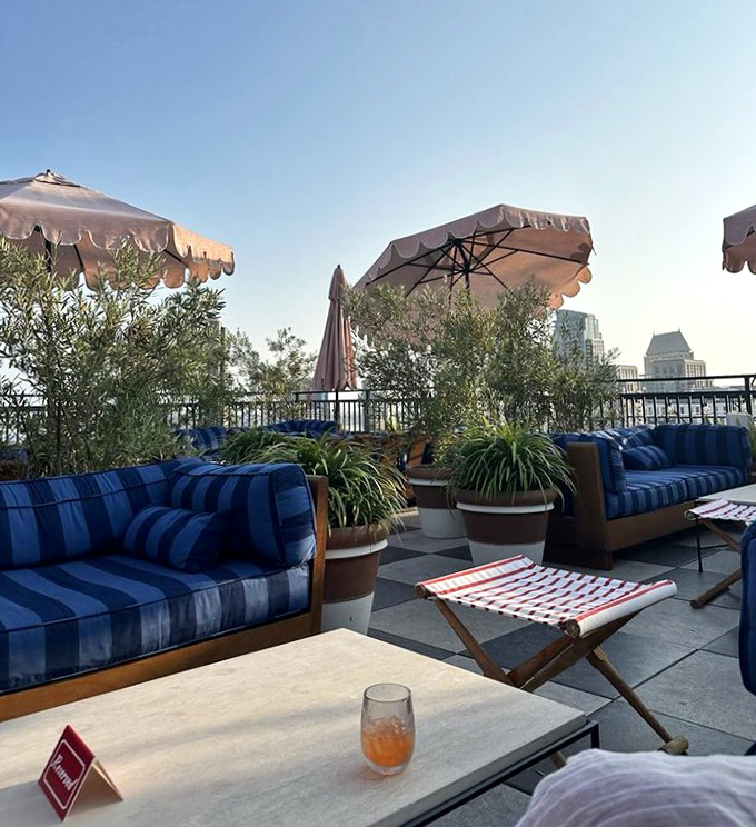Rooftop seating that makes you feel like you've discovered a secret garden—with cushions so plush you might accidentally take an afternoon nap.