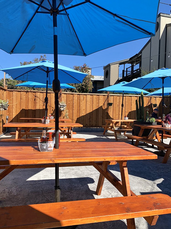 Outdoor seating bathed in California sunshine. Because sometimes the only thing that can improve perfect seafood is a perfect blue sky above.