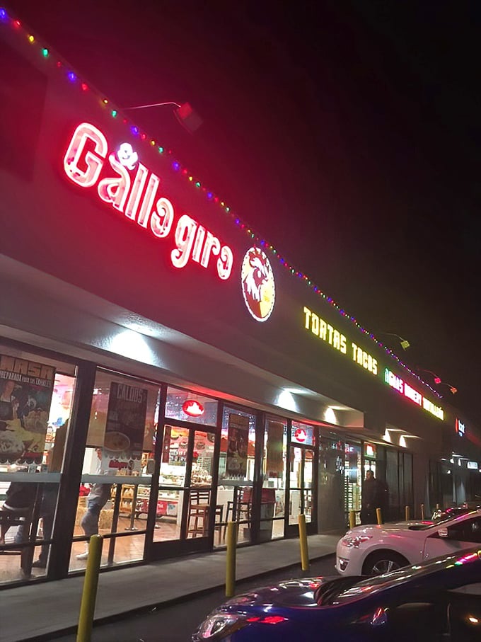 By night, the glowing sign of El Gallo Giro serves as a lighthouse for hungry souls, guiding them safely to port through seas of lesser dining options.