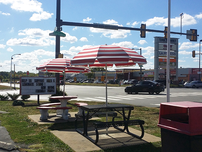 Even the outdoor seating has retro charm, with striped umbrellas that look like they're ready to serve milkshakes to the Fonz himself.