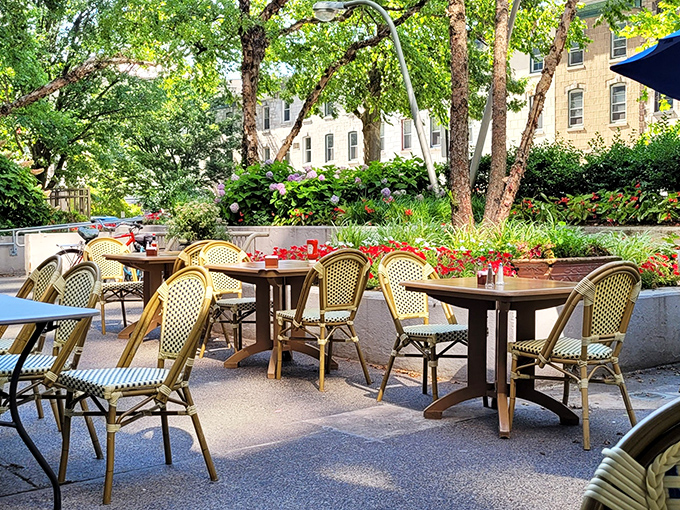 The outdoor seating area whispers "linger a little longer" with its dappled sunlight and promise of people-watching with your coffee.