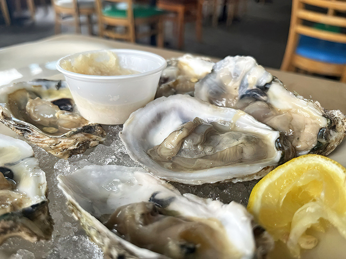 Oysters on the half shell—nature's perfect appetizer. These glistening treasures need nothing more than a squeeze of lemon and good company.