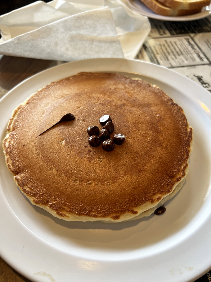 Golden pancakes arrive topped with blueberries, proving that sometimes the simplest pleasures bring the greatest joy to life.