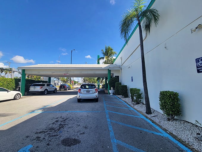 Even the parking area feels welcoming, with palm trees standing guard. Your chariot awaits after you've eaten like royalty.