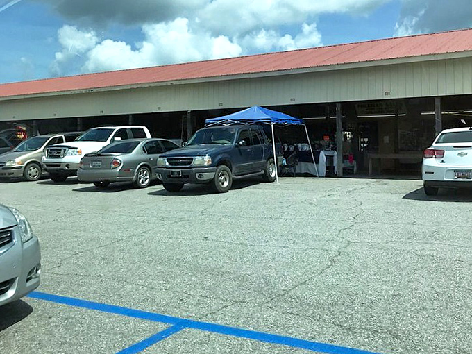 The parking lot—where empty trunks arrive and full trunks depart. That blue parking line might as well be the starting line for the bargain hunting Olympics.