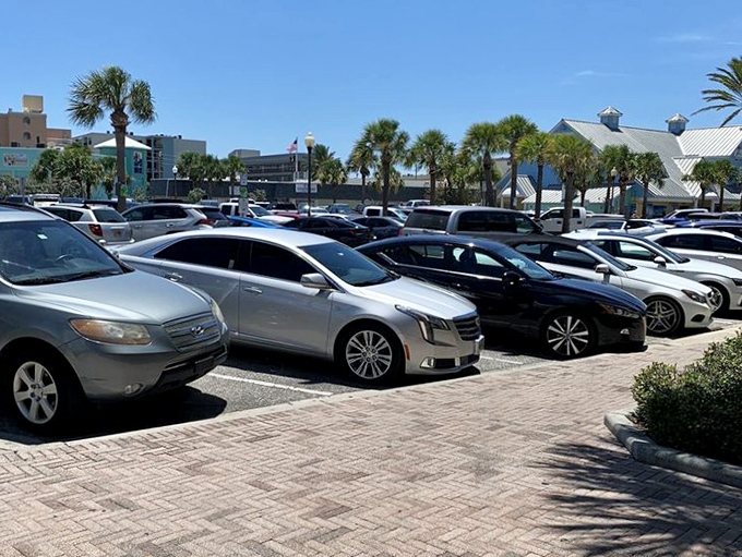 Even the parking lot feels like Florida, with palm trees and pavers instead of concrete and meters. Your adventure begins the moment you arrive.