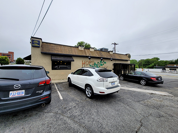 Ample parking means more time enjoying legendary cauliflower, less time circling blocks like lost tourist vultures.