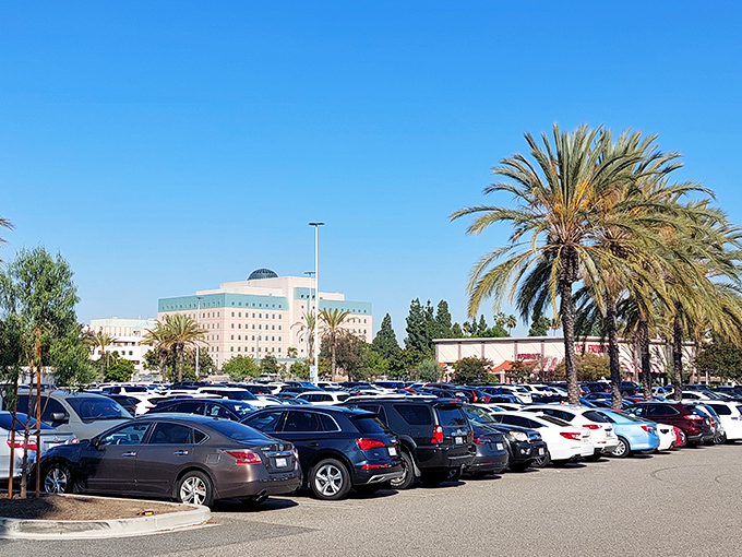The sprawling parking lot&mdash;a sea of California cars baking under palm trees&mdash;where the true adventure begins and ends, and finding your vehicle becomes a memory game.