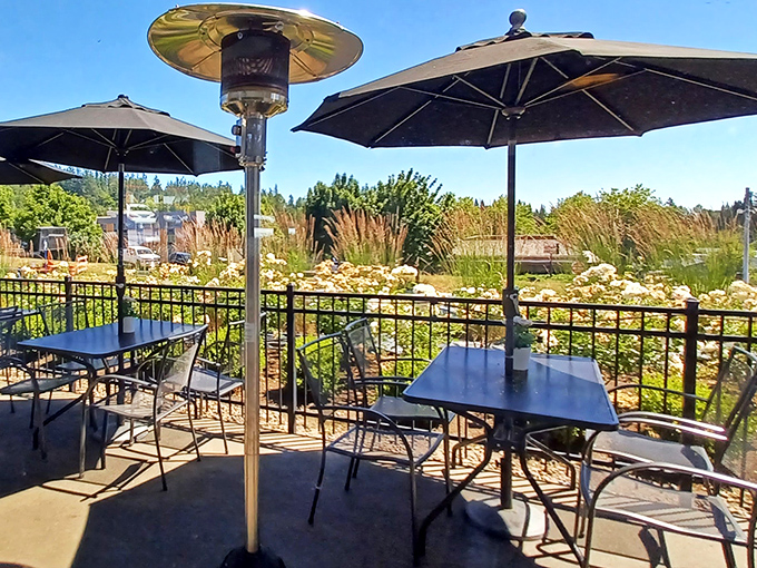 The outdoor patio—where summer meals come with a side of sunshine, gentle breezes, and the occasional friendly local conversation.