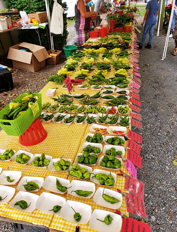 Fresh peppers adding a splash of farm-fresh color to this vintage treasure landscape.