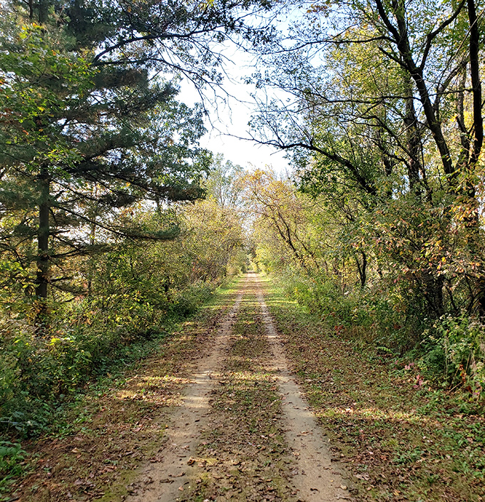 Nature reclaims old pathways in Perrot State Park. This trail promises the kind of peaceful solitude that's becoming life's most precious luxury.