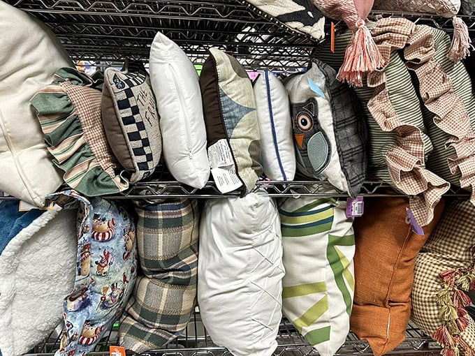 The pillow section: a soft, rectangular rainbow of possibilities. That owl-shaped cushion is judging your decorating choices, but the price isn't.