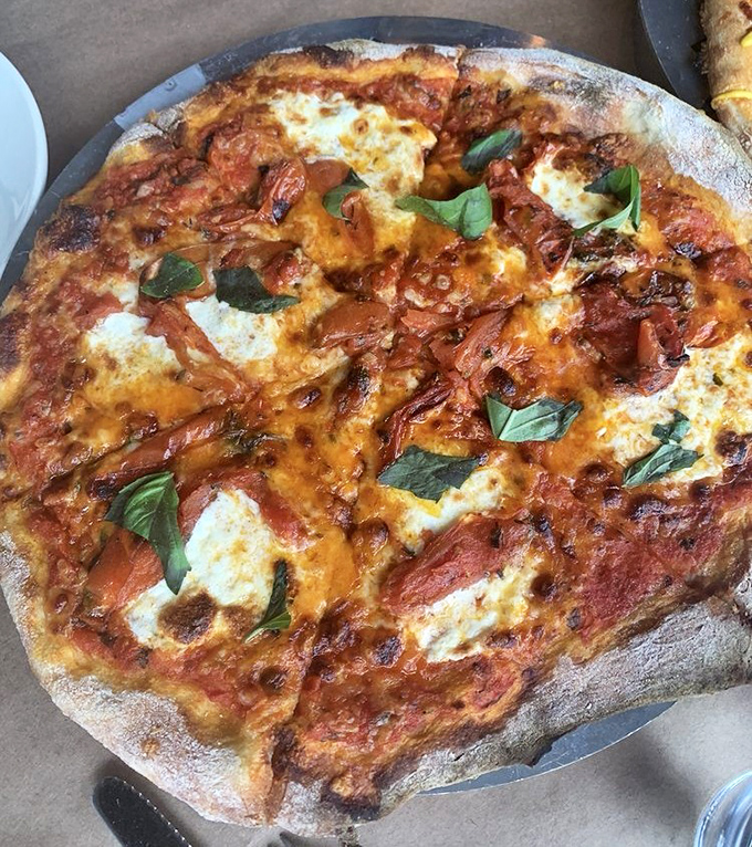 Wood-fired perfection with a blistered crust that tells tales of proper heat. This Margherita pizza doesn't need to shout&mdash;its simple, perfect flavors speak volumes.