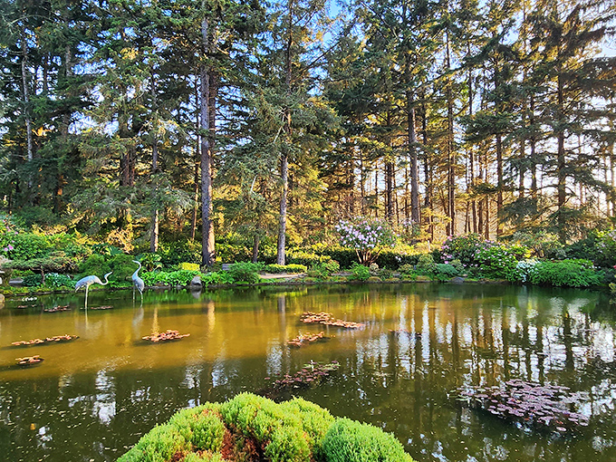 A tranquil pond that looks like it was borrowed from a Monet painting and somehow improved upon by Oregon's natural lighting.