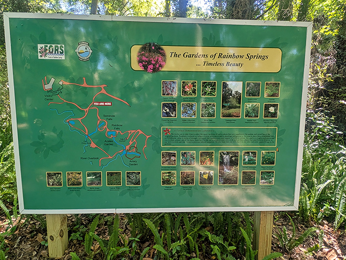 The trail map: a treasure map where X marks every spot worth seeing. Spoiler alert: they're all worth seeing.