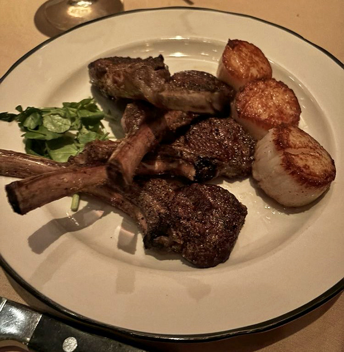 Rack of lamb paired with perfectly seared scallops. A land-and-sea duet that performs beautifully on this pristine white plate.