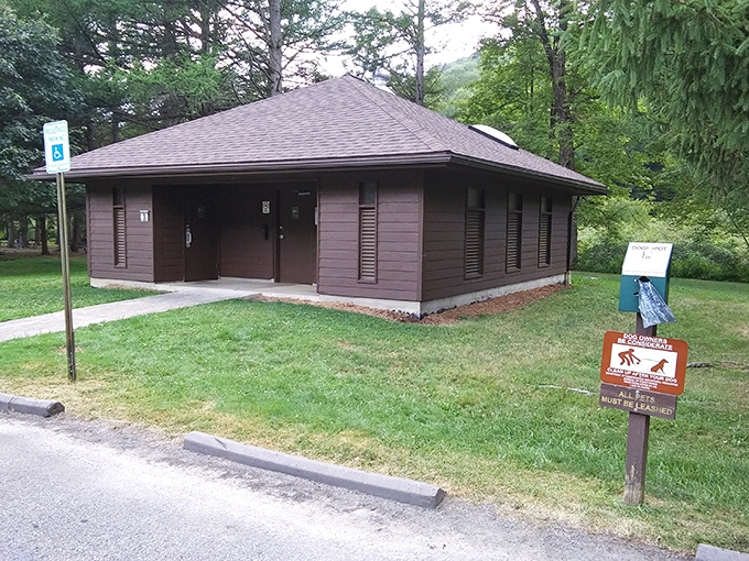 Even the restroom facilities maintain the park's rustic charm. Practical, unpretentious, and perfectly suited to this wilderness retreat.