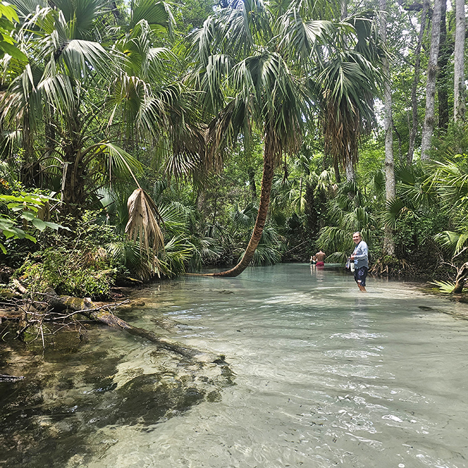 Wading into a postcard. When the water is this inviting and the palms create perfect framing, resistance is futile—just jump in!