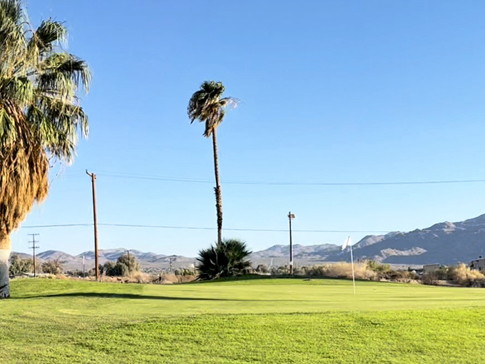 Roadrunner Dunes Golf Course challenges players with desert hazards that no amount of sand wedge practice prepared you for.