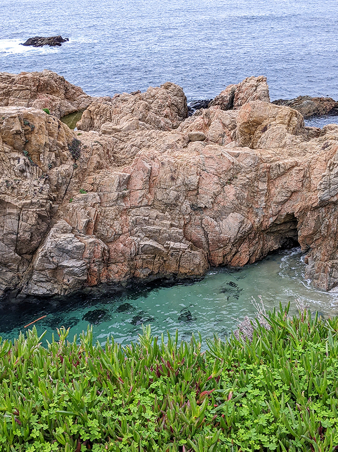 Nature's infinity pool nestled among rose-hued rocks. This hidden gem showcases Garrapata's ability to surprise even the most seasoned coastal explorers.