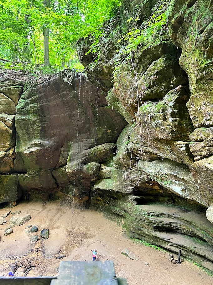 Ancient rock formations create natural cathedrals where water has patiently carved masterpieces over millennia&mdash;no admission fee required. 