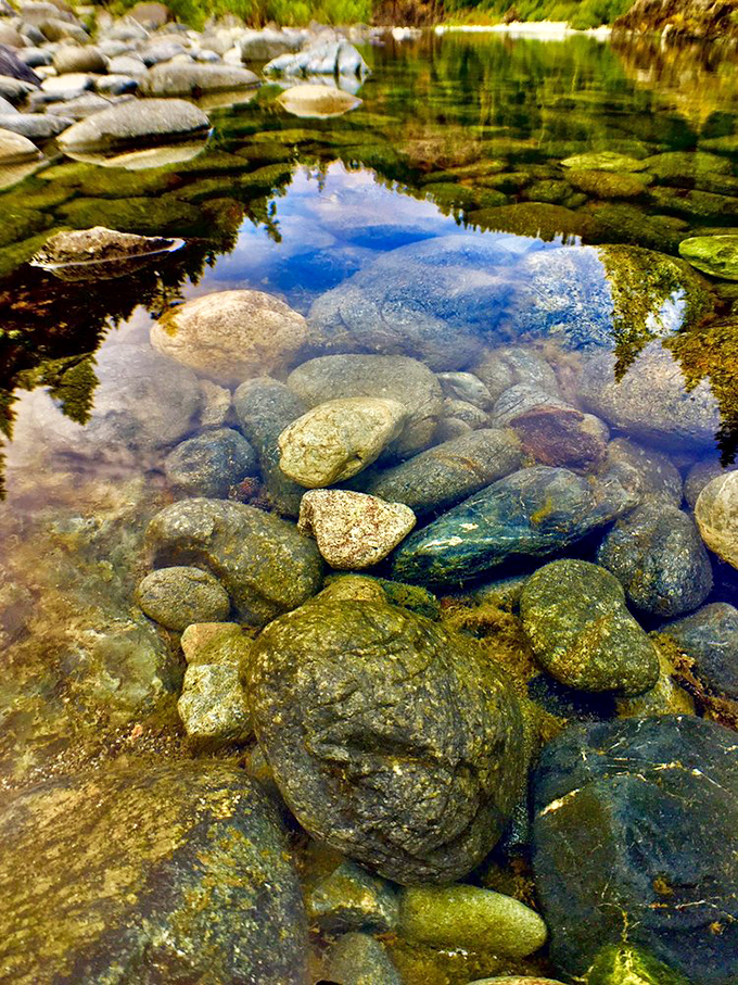 The river bottom gleams like nature's own jewelry box, each stone polished by centuries of pristine water flowing from the mountains to the sea.