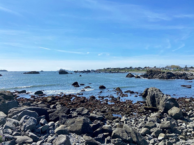 Nature's obstacle course of tide pools and rocky outcroppings. Where every step requires a decision and comfortable shoes are non-negotiable.