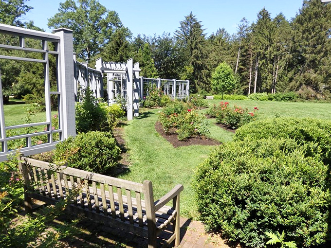 Structured beauty in full bloom. The Rose Garden's geometric design showcases nature's perfection within thoughtfully designed architectural elements.