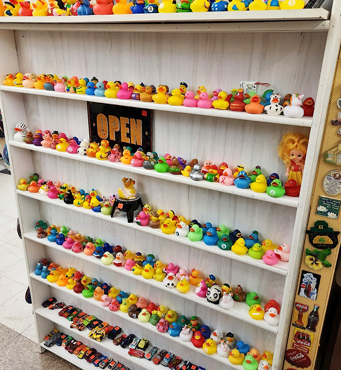 The rubber duck army stands at attention, ready for bathroom deployment. Who knew collecting bathtub companions could reach such epic proportions?