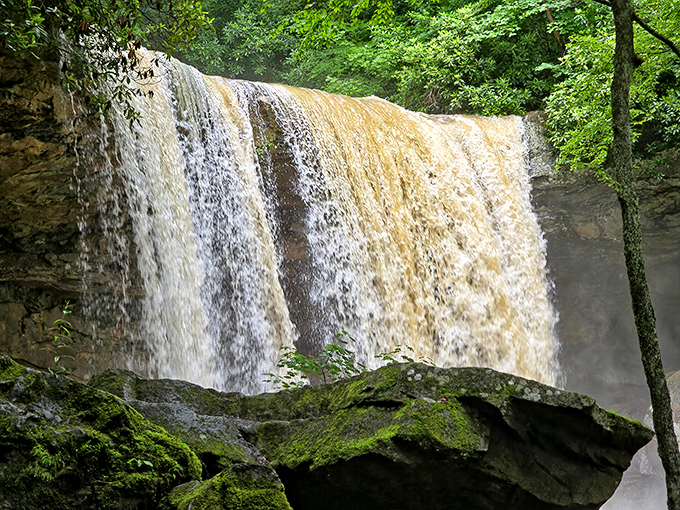 After heavy rain, Cucumber Falls transforms from gentle cascade to thundering spectacle. Nature's power on full, magnificent display.