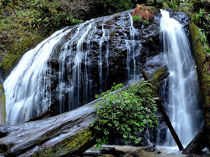 Russian Gulch waterfall doesn't just flow&mdash;it performs. Nature's version of a standing ovation, with ferns and redwoods as the appreciative audience.