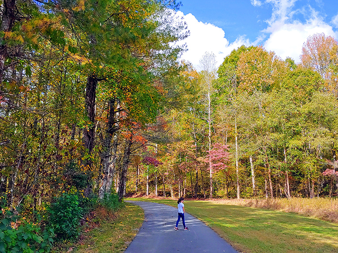 Fall's fashion show on full display. This colorful corridor of autumn trees makes even a simple walk feel like strolling through a living painting.