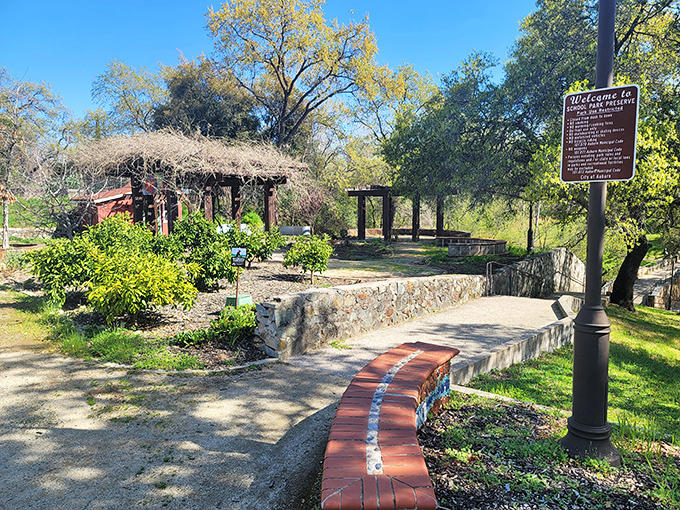 The community garden blends natural beauty with neighborhood connection. These pathways lead to both homegrown vegetables and newfound friendships.
