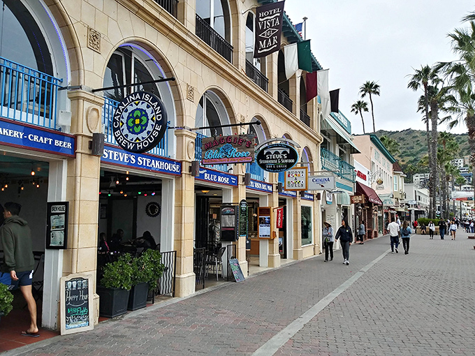 Avalon's main street invites leisurely exploration, a pedestrian paradise where the only rush is to decide which restaurant deserves your dinner reservation.