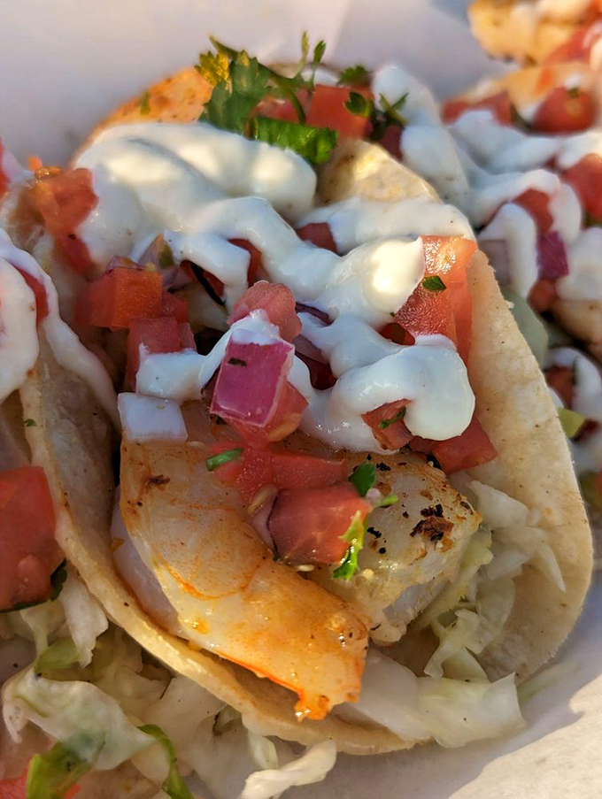 A close-up that reveals the truth about great seafood tacos&mdash;it's all in the details. Fresh fish, bright pico, and sauce applied with artistic precision.