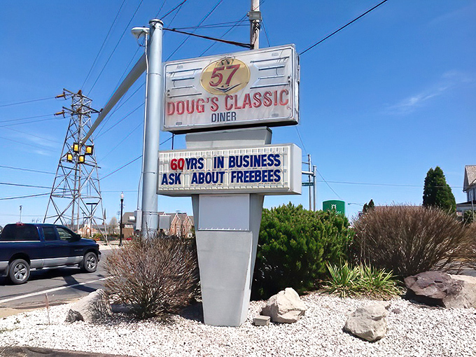 Sixty years in business isn't just a milestone—it's a testament to doing simple things extraordinarily well, one burger and shake at a time.