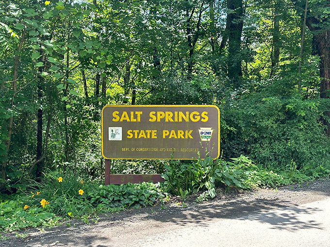 The entrance sign promises adventure ahead, like the opening credits to your own personal nature documentary, minus the dramatic voiceover.