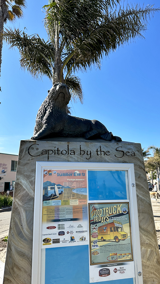 Capitola's sea lion mascot stands guard over community announcements, proving even small towns know how to throw a proper beach party.