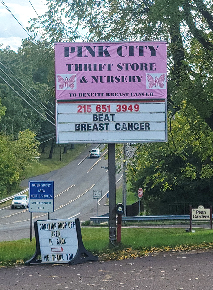 The Pink City sign stands tall against Pennsylvania's lush greenery &ndash; a beacon for bargain hunters and a reminder that every purchase helps beat breast cancer.