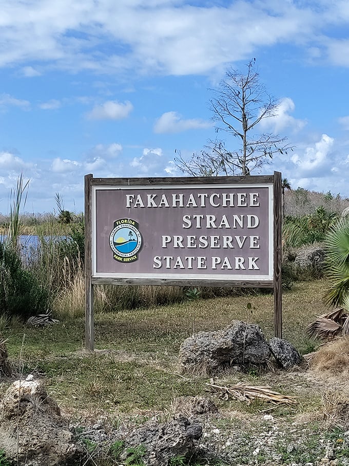 The sign might be simple, but it marks the entrance to Florida's wildest classroom. Beyond this marker lies 85,000 acres of untamed wonder.