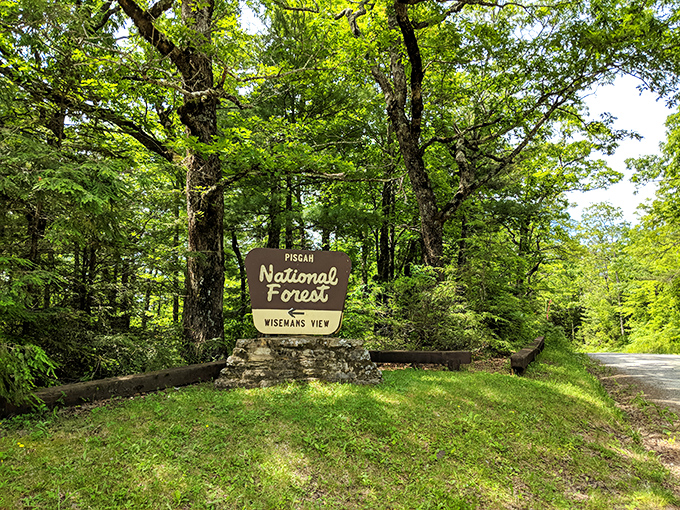 The official welcome mat to paradise&mdash;this Pisgah National Forest sign signals you've arrived somewhere worth remembering.